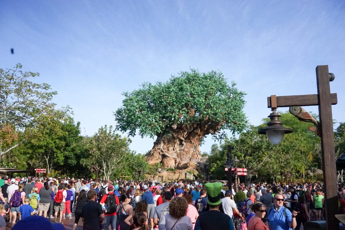 Free Disney Photos [Royalty FREE Stock Images of Disney World]